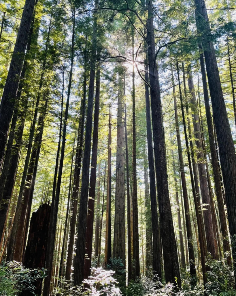 EDEN-Colorado - Ars Nova Singers