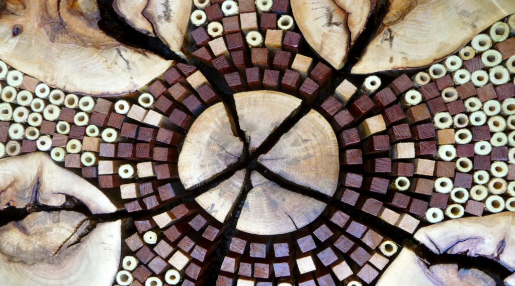 Lost/Found - Ars Nova Singers